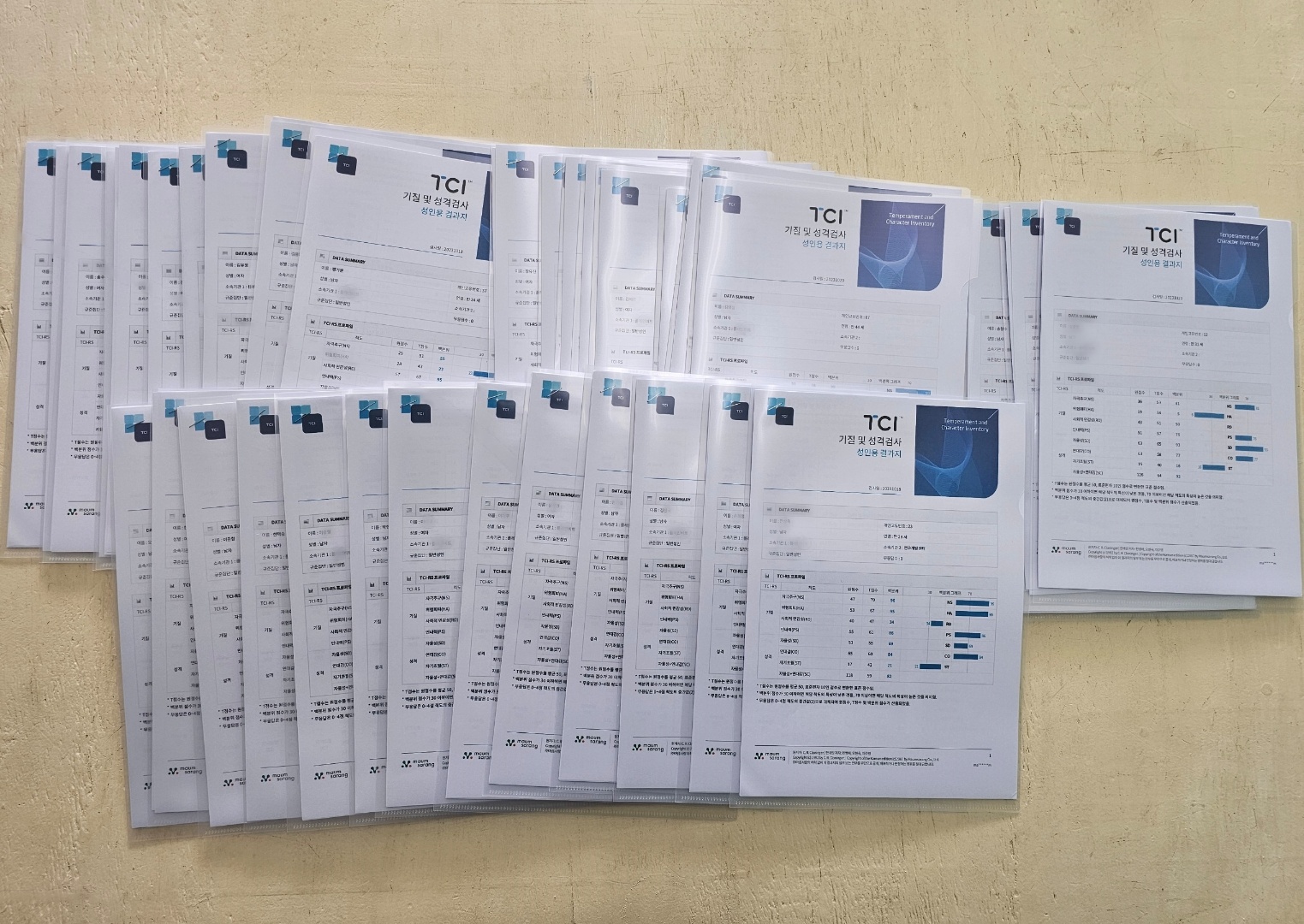 나와 우리팀의 특별한 스펙찾기 'TCI 기질 및 성격검사' - 이너트립 워크샵